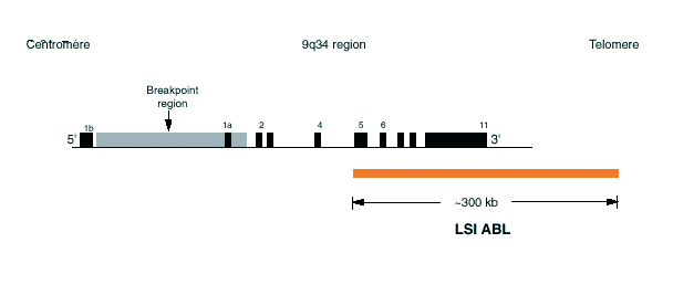 Vysis FISH Chromosome Search - Chromosome 22 | Abbott Molecular
